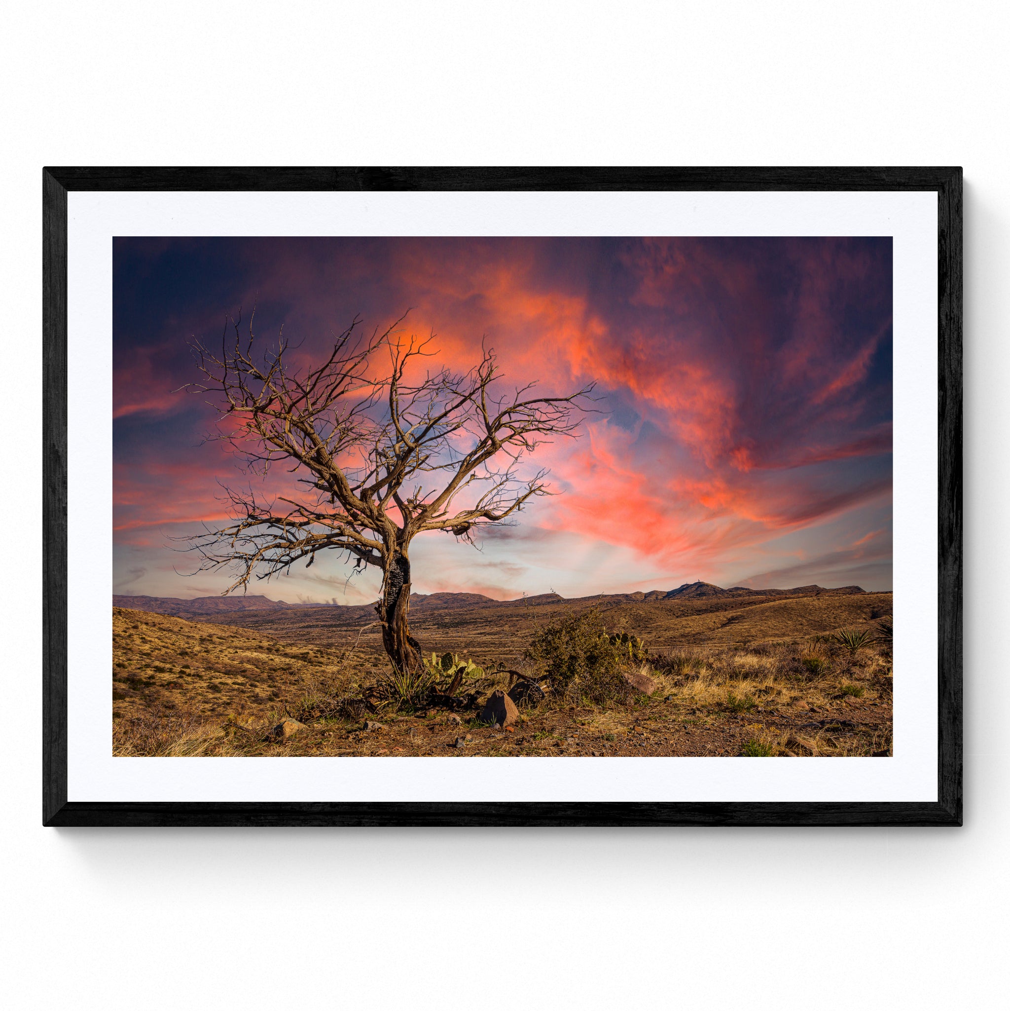 Modern Southwestern Art - Photography Prints By Juan Loza – Gallery Canyons